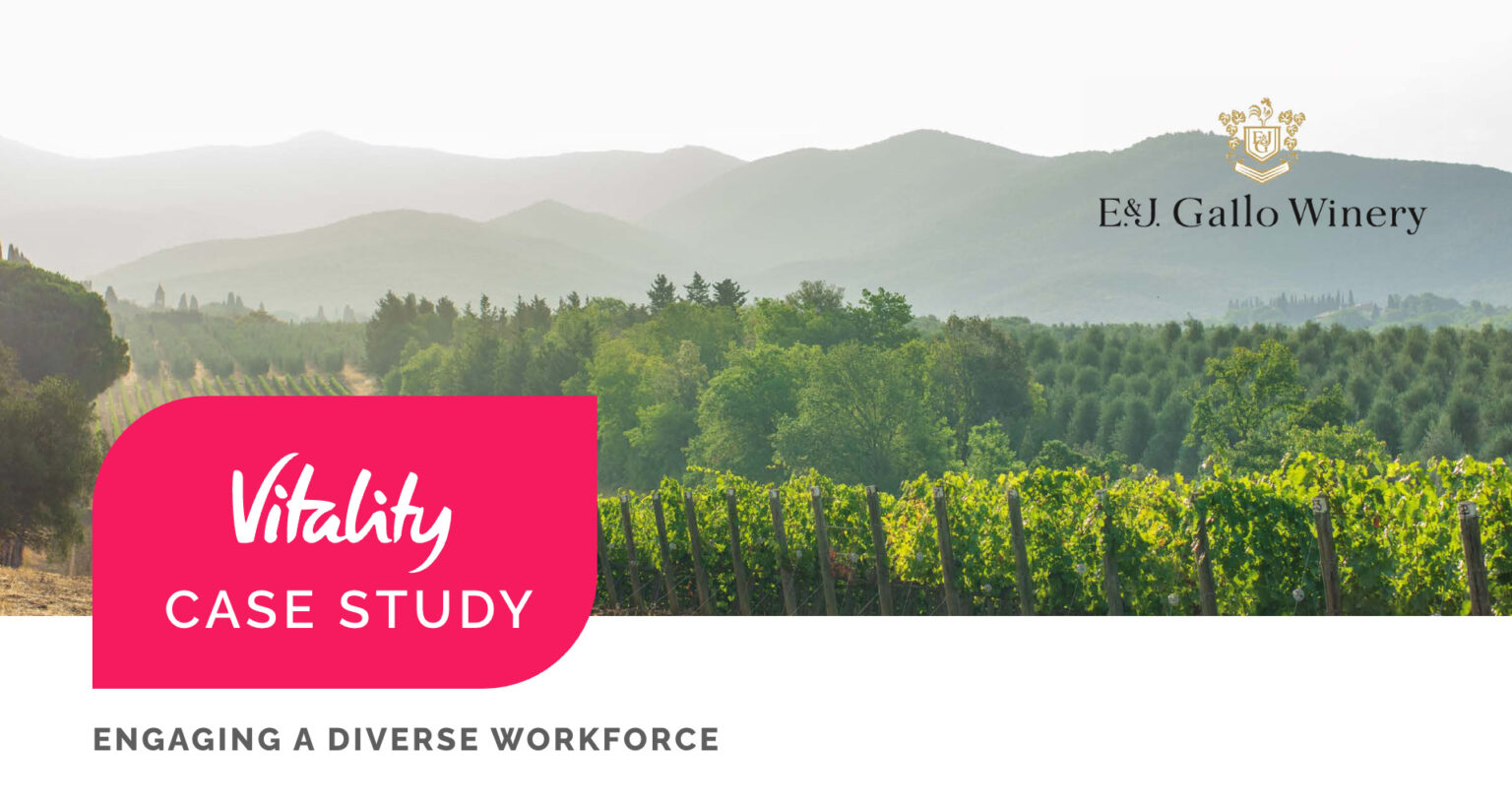 E.J. Gallo Case Study - Vitality